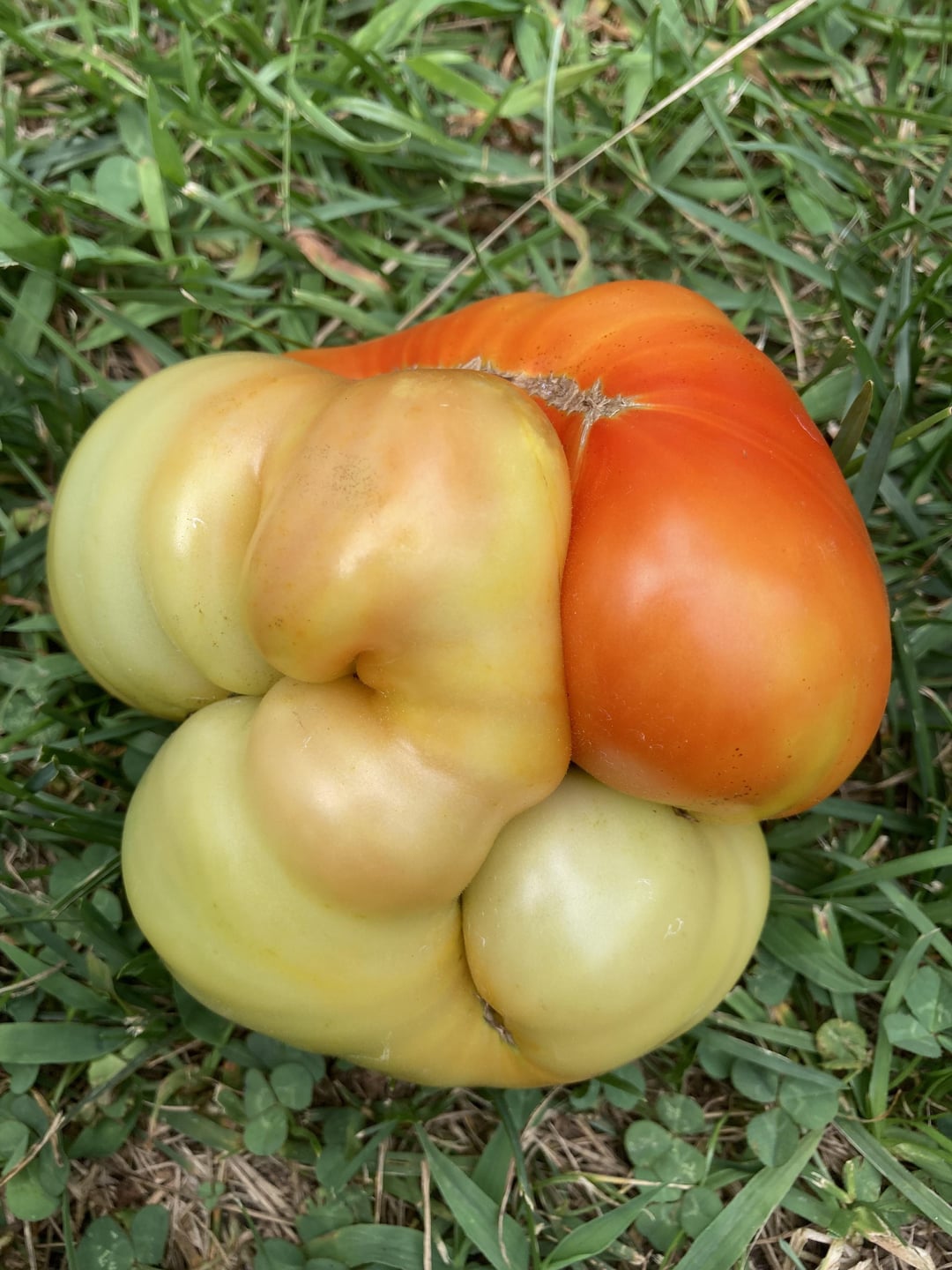 An interesting shape. - Dining and Cooking