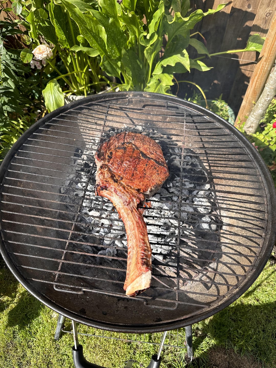 In this whole tomahawk steak? - Dining and Cooking