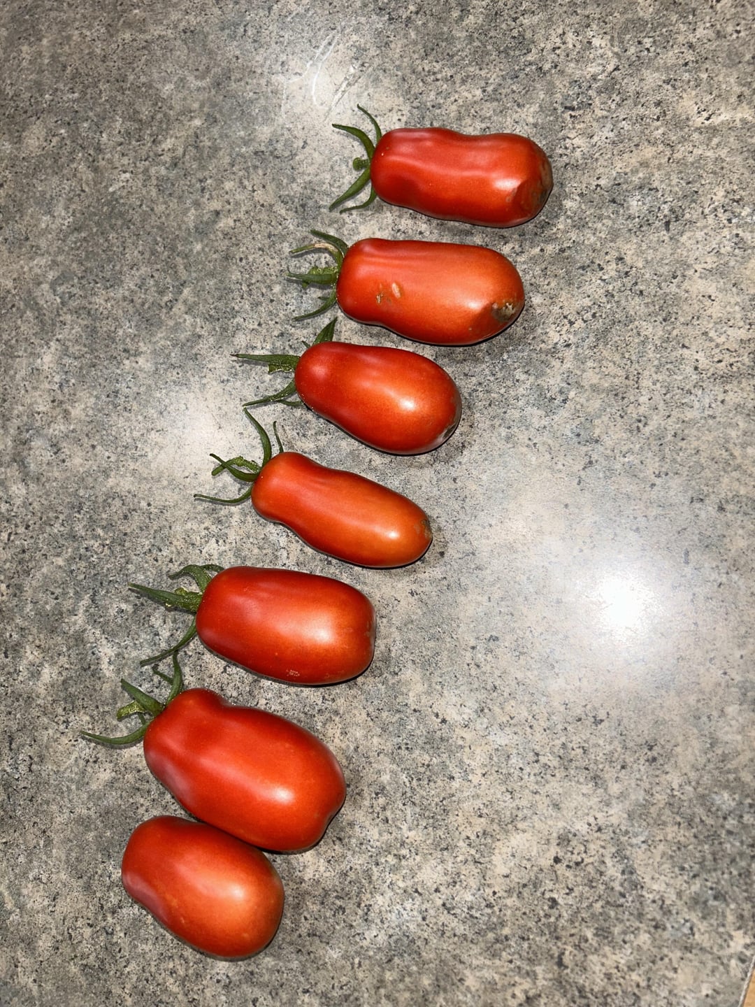 Very proud of my first San Marzano harvest from my first ever garden! 🙂 ...