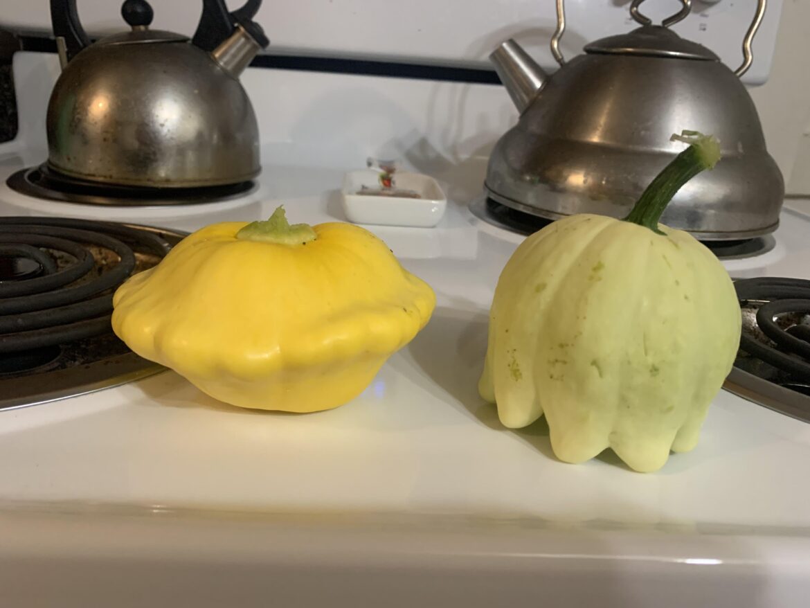 Speaking of mystery squash…behold my Pac-Man ghost patty pan next to a ...