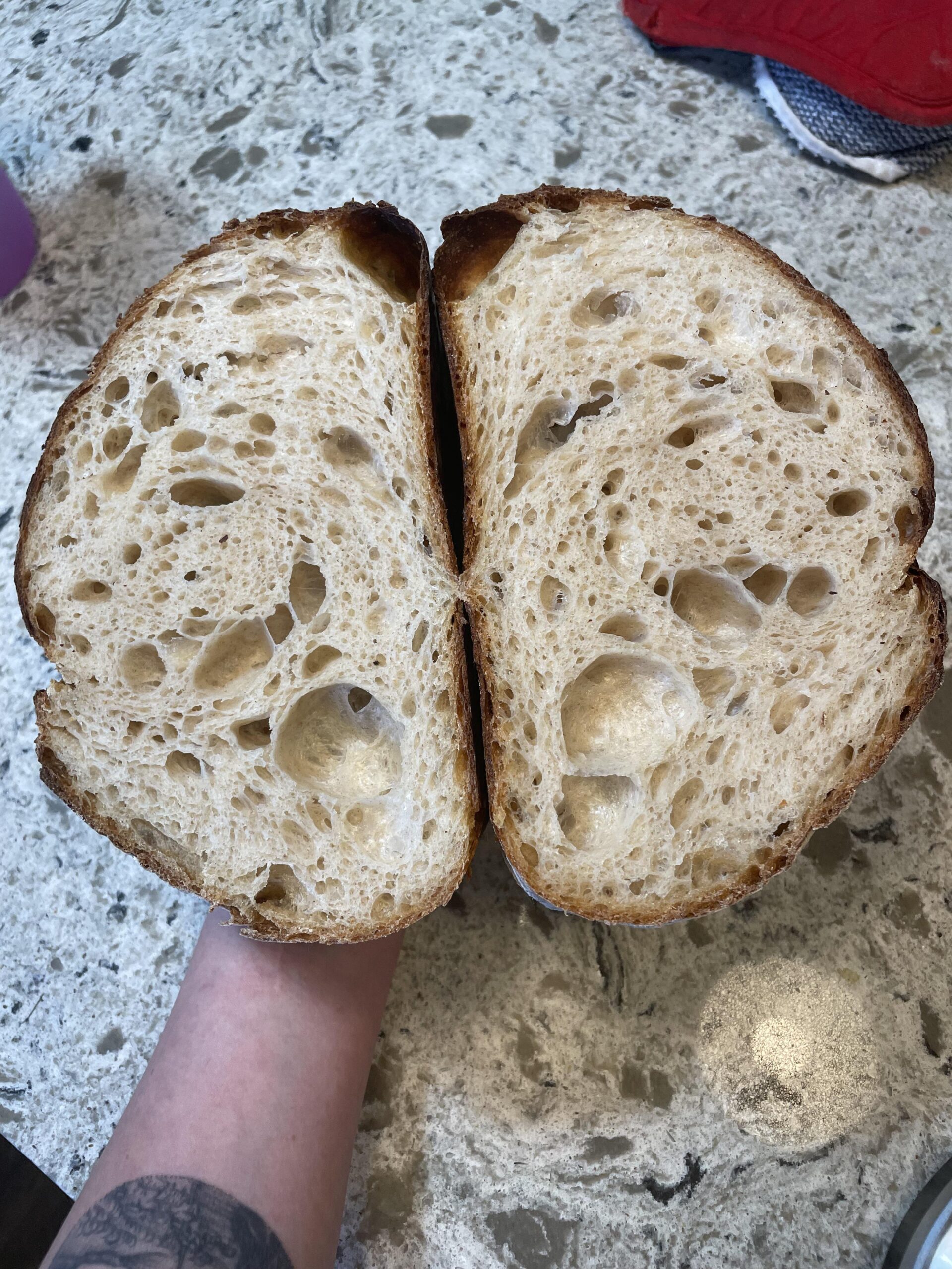 back and breader than ever - Dining and Cooking