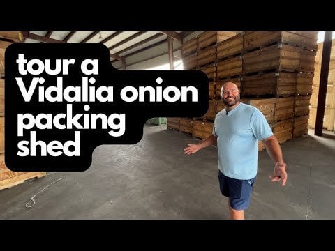 Vidalia Onion packing shed tour - Dining and Cooking