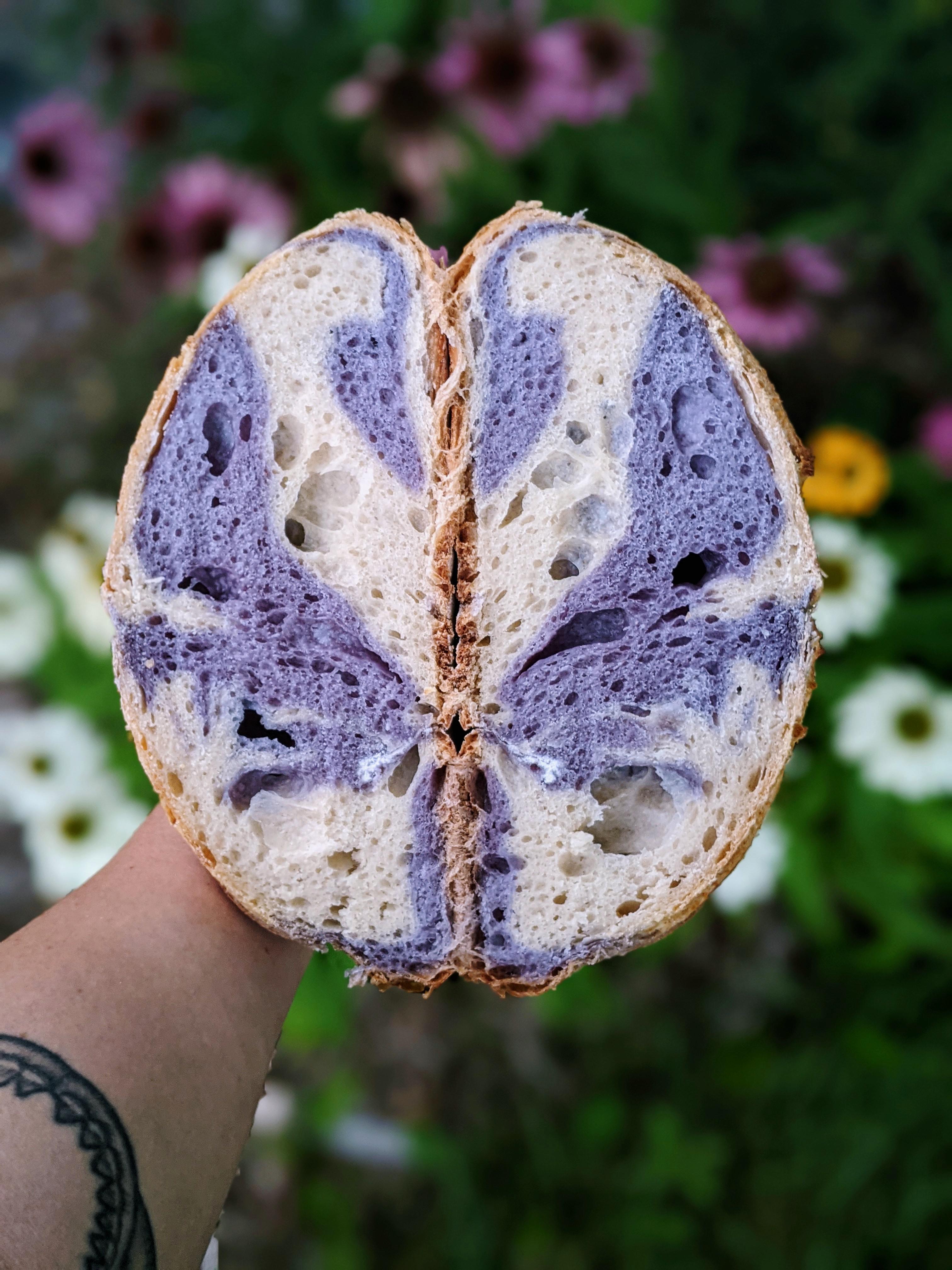 my best loaf yet. butterfly pea flower swirl. how do you color your ...