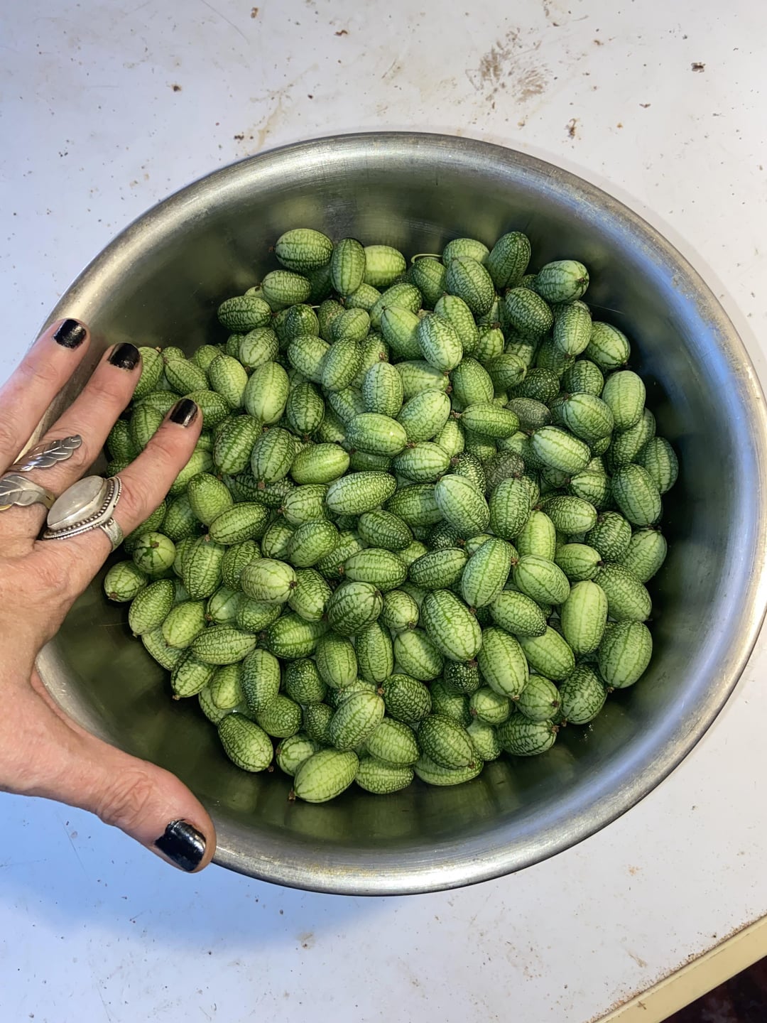 Mexican Sour Gherkin / Cucamelon pickles. - Dining and Cooking