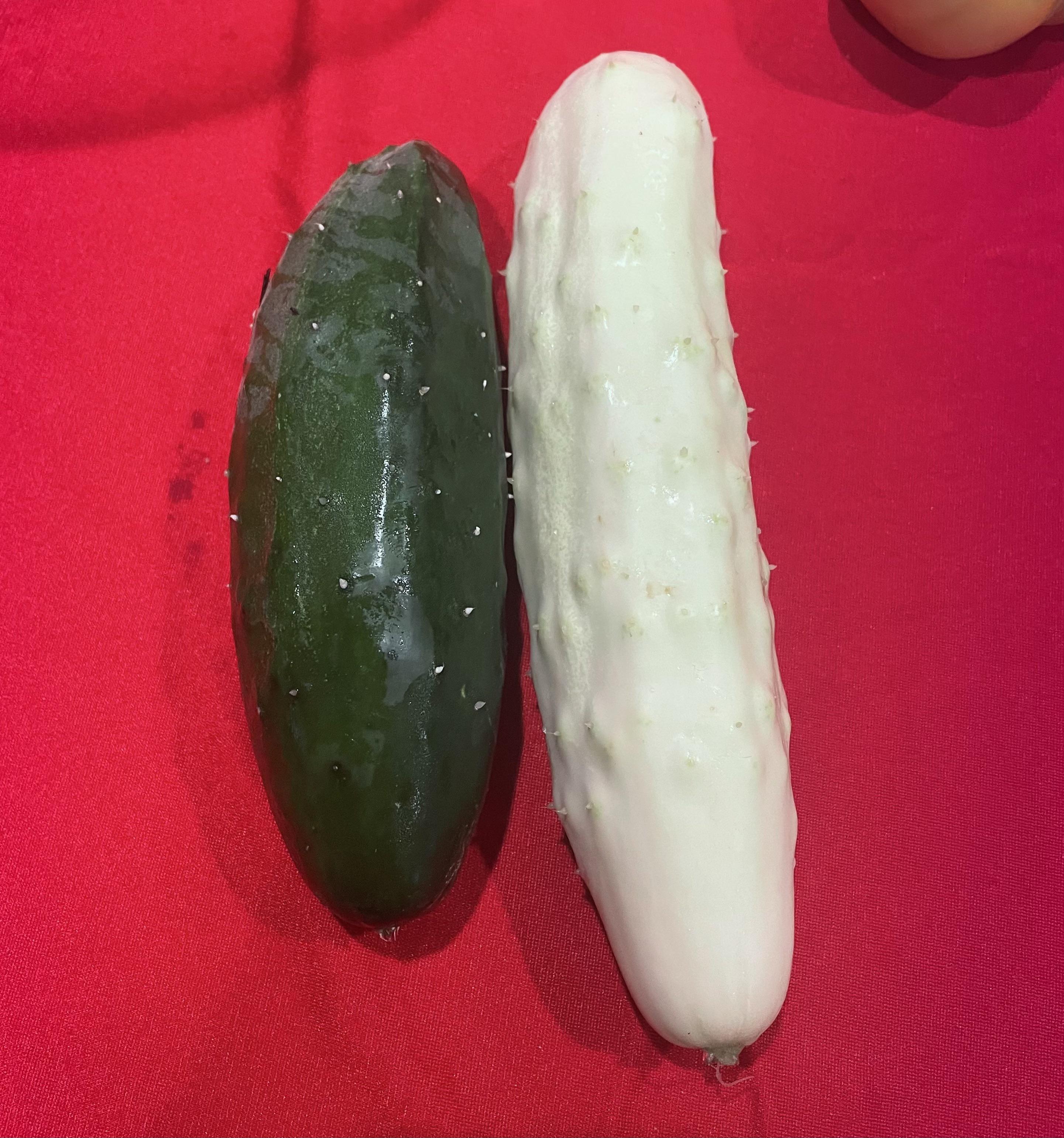 Bought a 6-pack of cukes at a local garden center. 5 plants were normal ...