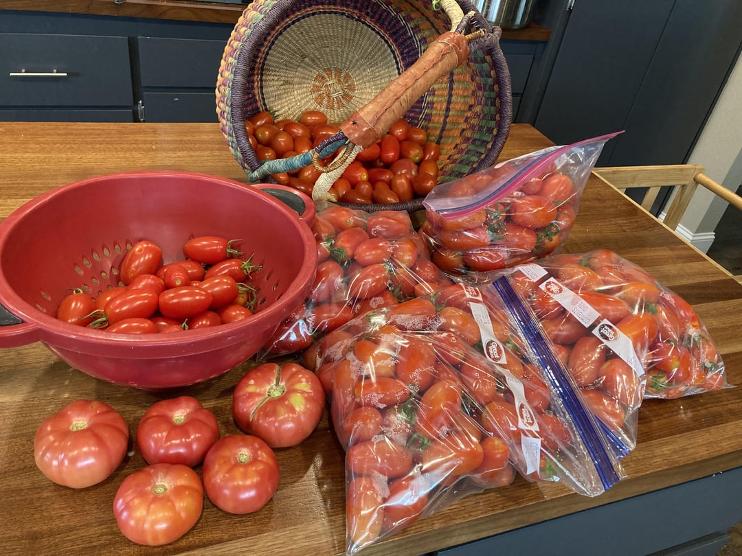First time making home grown spaghetti sauce! - Dining and Cooking