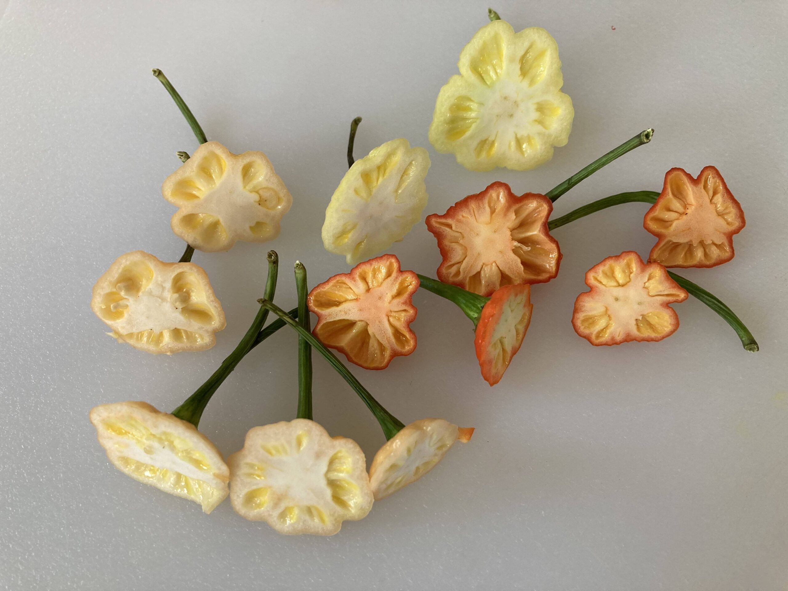 The Rorschach test of the hot pepper world - Dining and Cooking