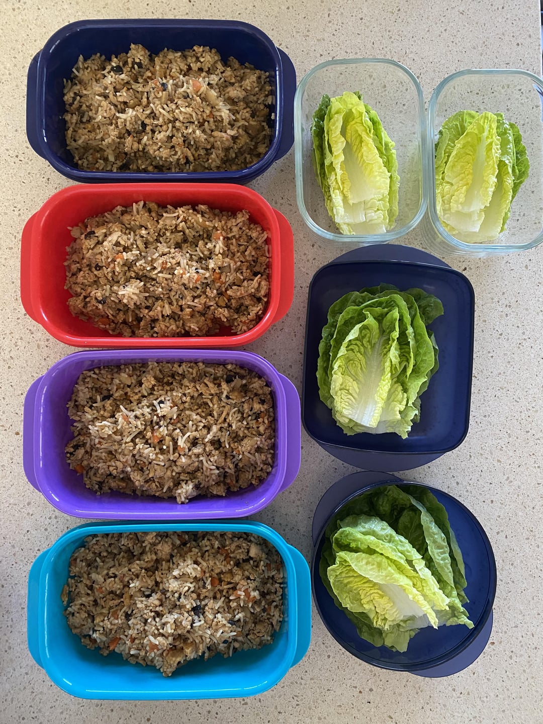 Meal prep week starting 04.09. San Choy Bow and Ground Beef Stroganoff ...