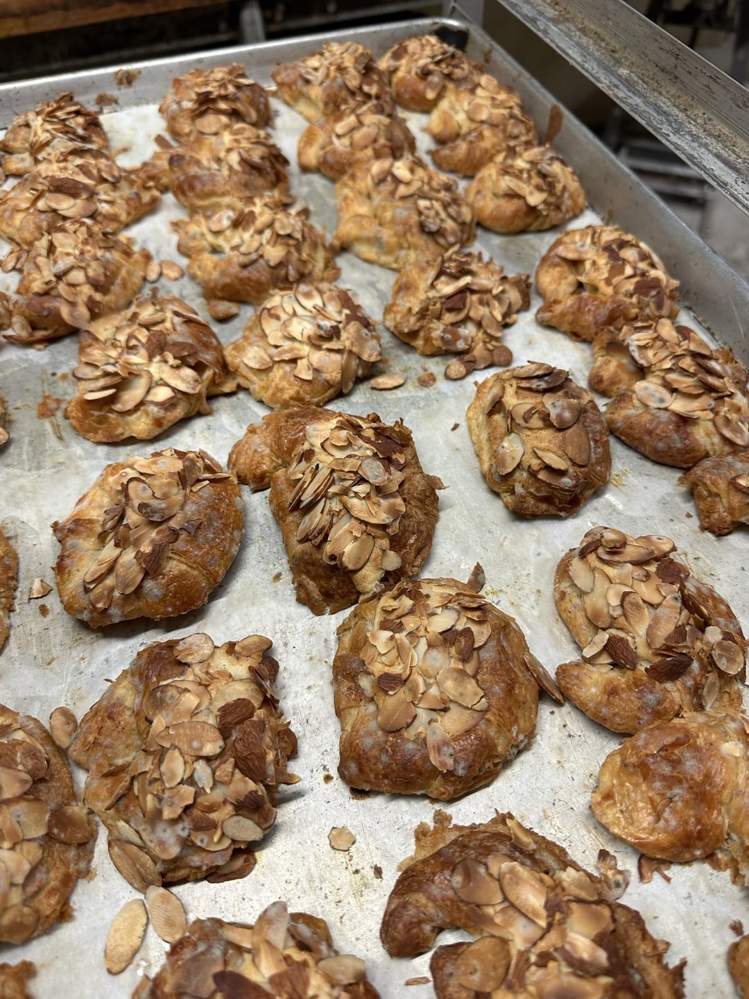 These almost got served - Dining and Cooking