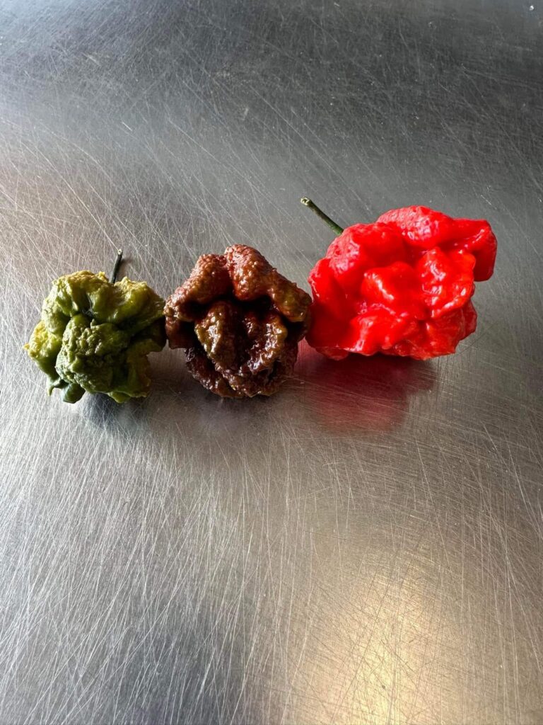 Official pictures of Pepper X in all stages of ripeness. Picture source ...