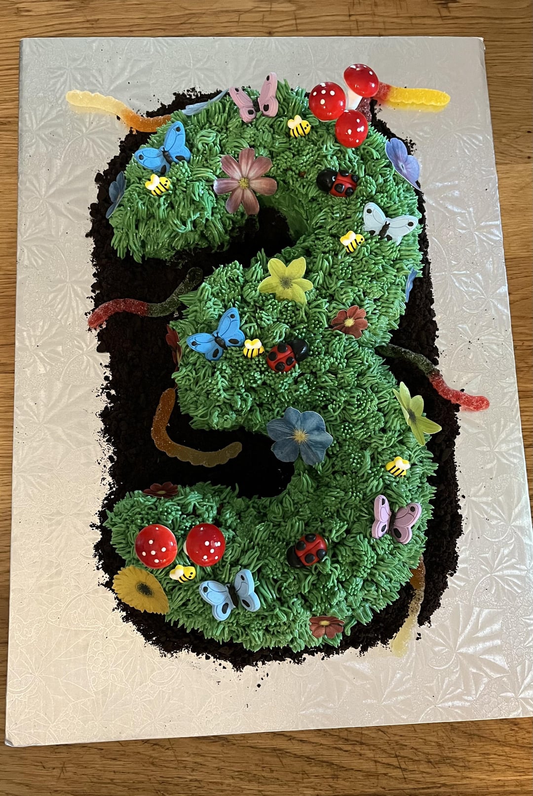 Made a bug cake for my bug-obsessed 3 year olds birthday party tomorrow ...