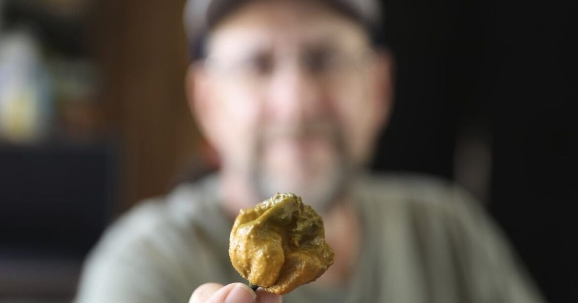 Pepper X now officially the hottest pepper - Dining and Cooking
