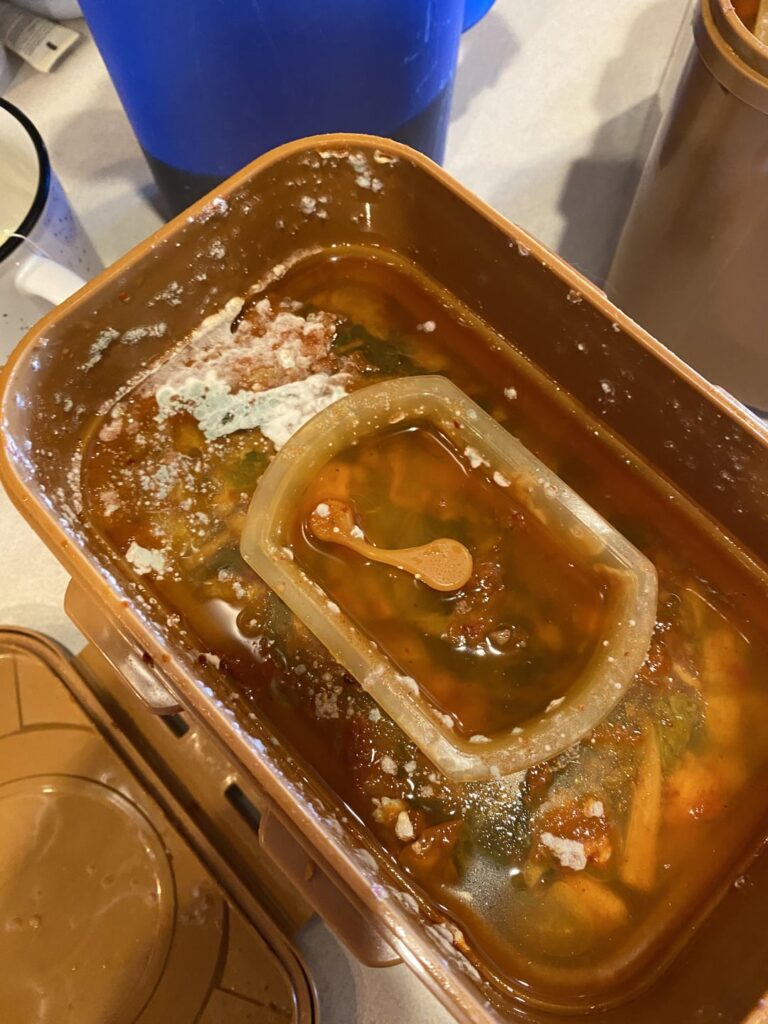 Is this mold on my kimchi?? - Dining and Cooking