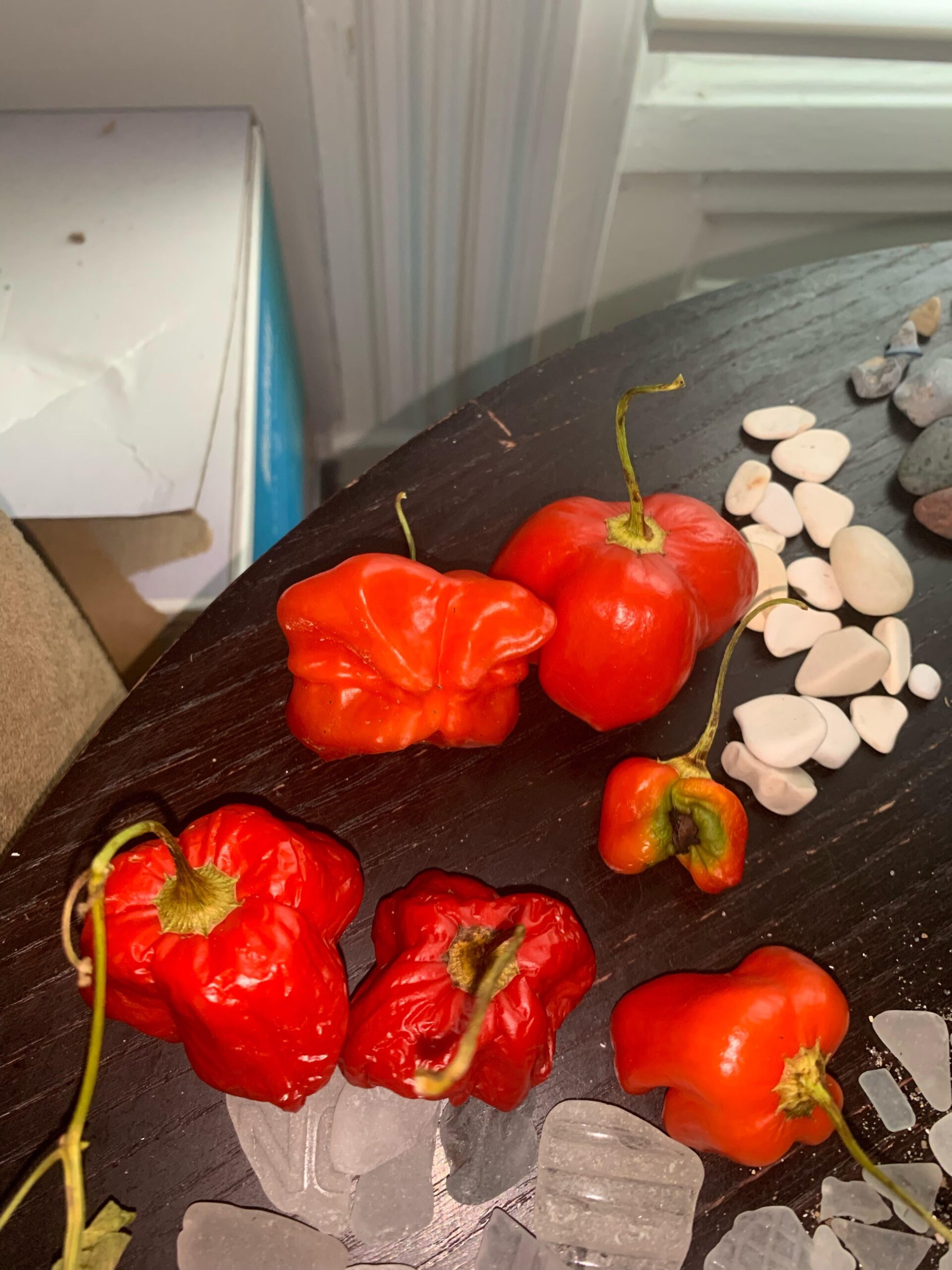 Help me identify these peppers??? - Dining and Cooking