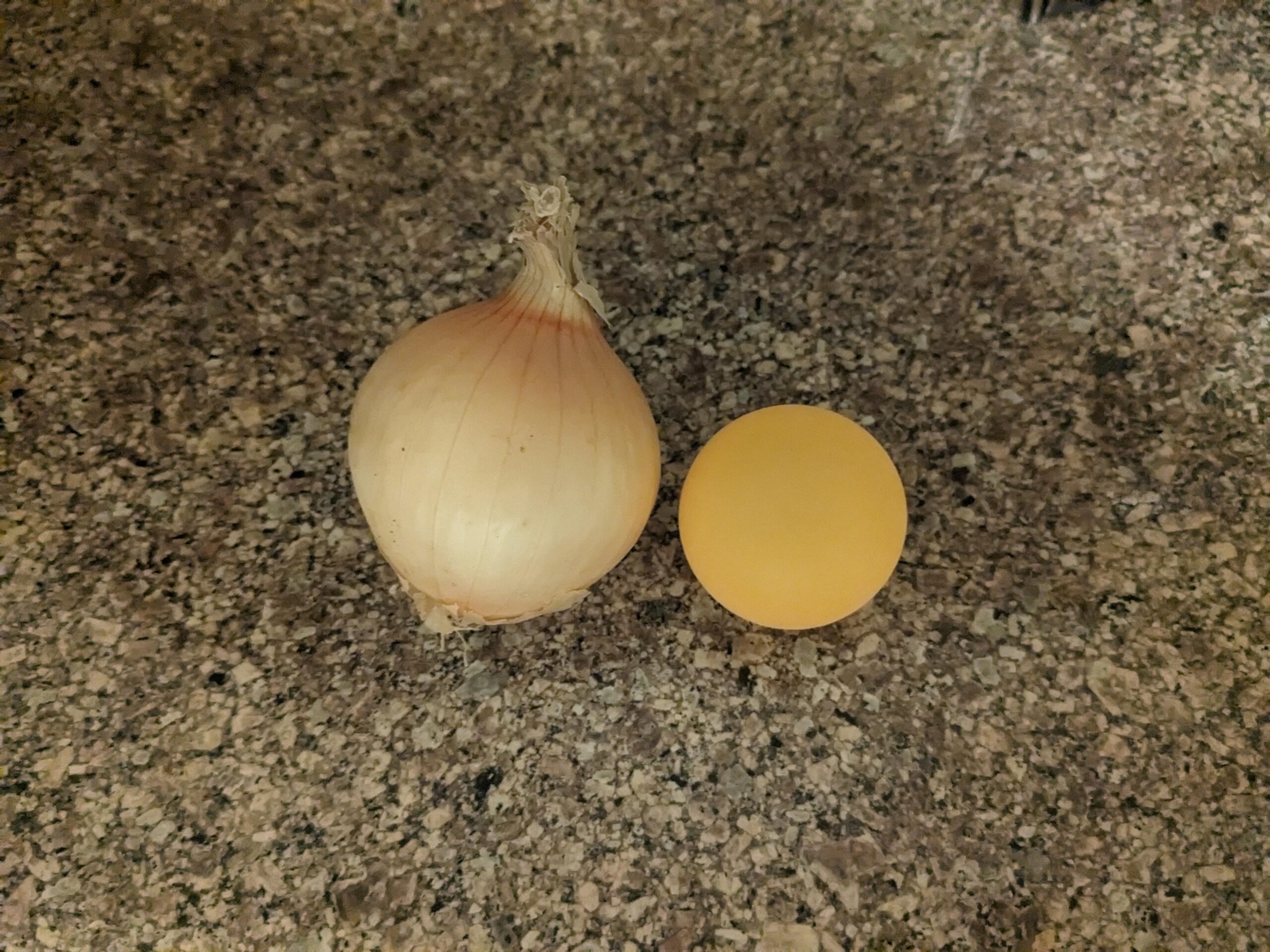 Onion included in my box this week (ping pong ball for scale!) - Dining ...