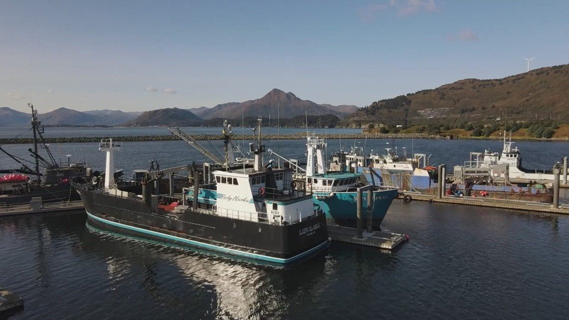 How 10 billion snow crab vanished from Alaskan waters and what it means for the seafood industry ...