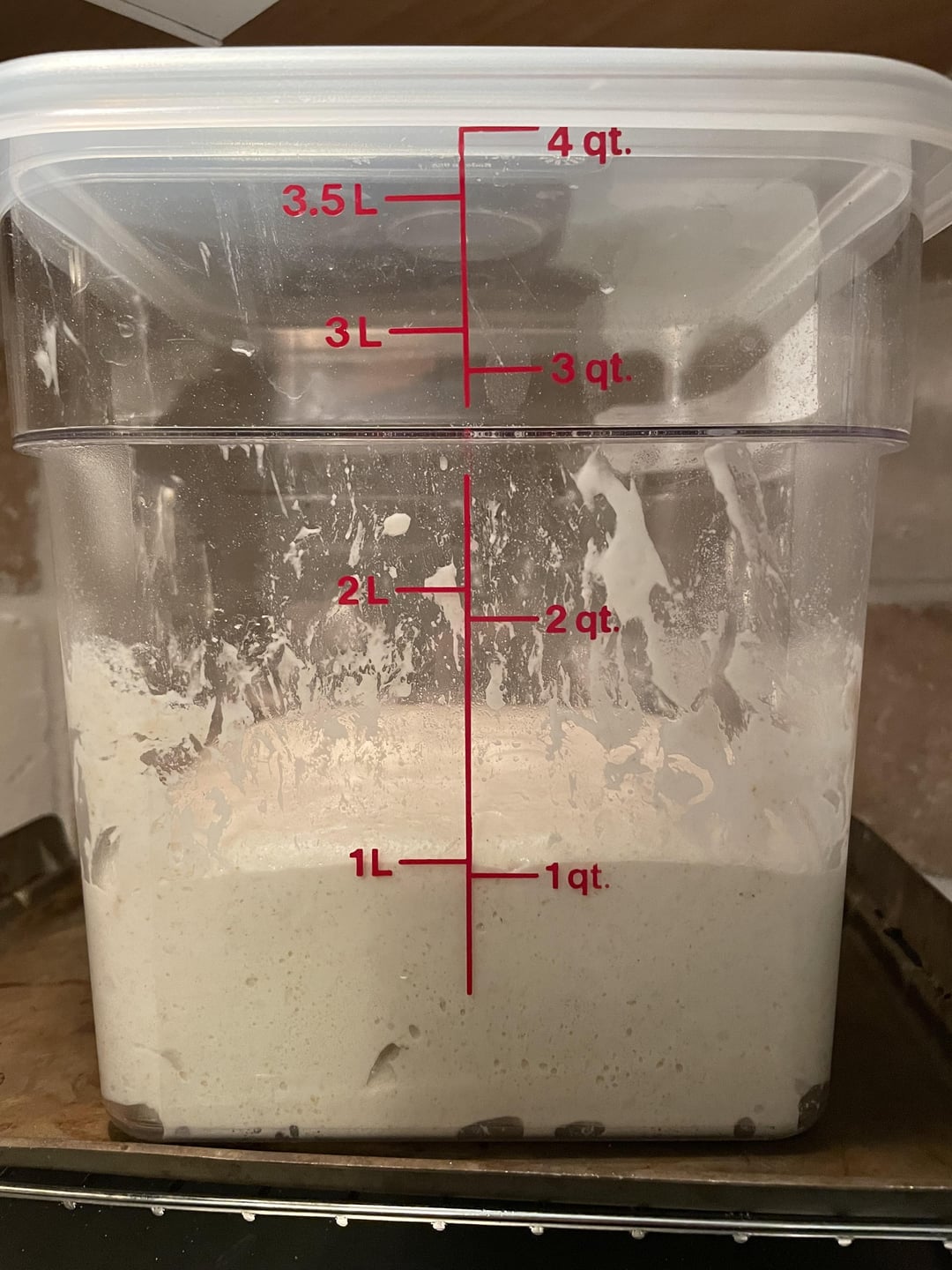 Got a cambro and decreased my whole wheat %. Slight improvement ...