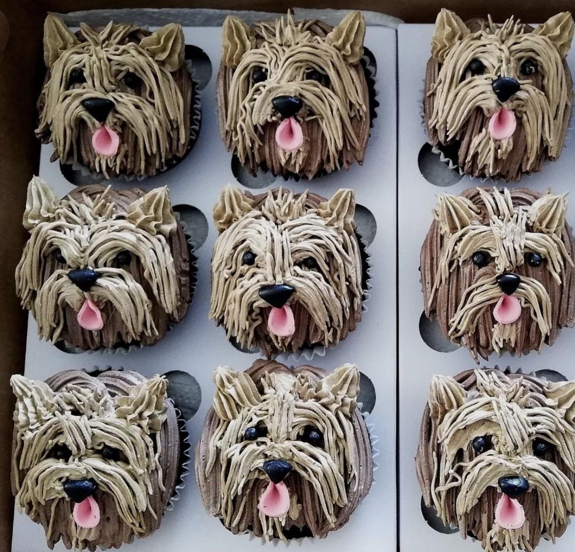 Little Yorkies for a special little doggy birthday - Dining and Cooking