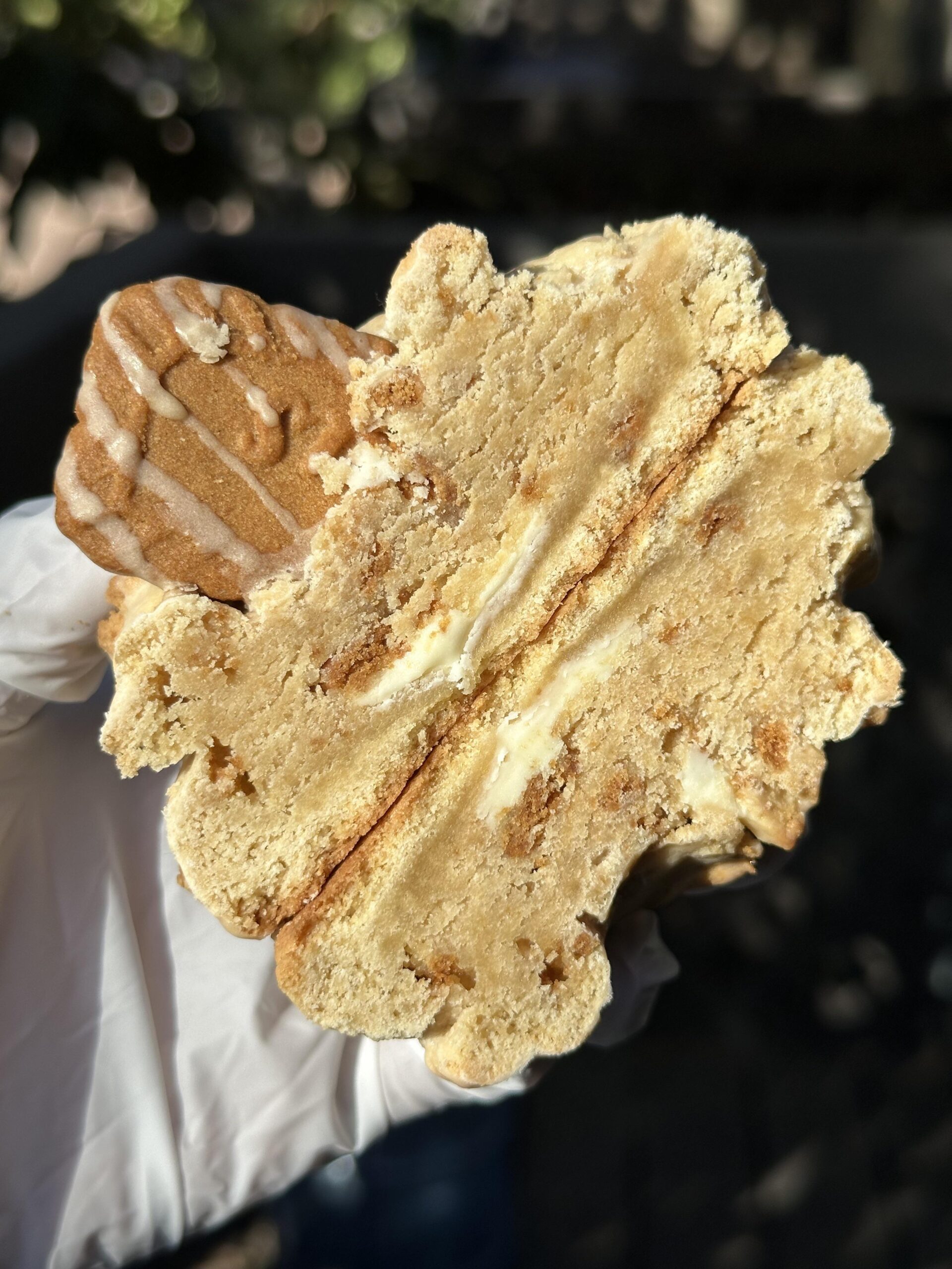 What does the INSIDE of your cookie look like? This is Biscoff Cookie ...