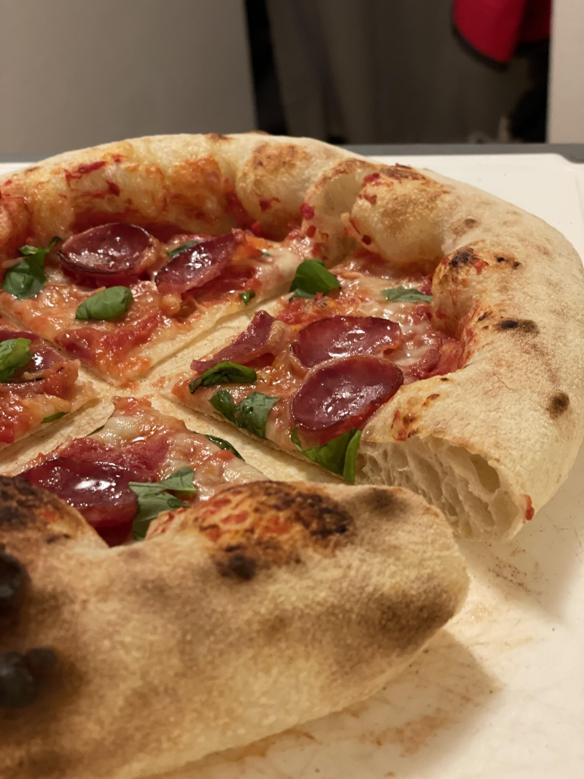 24 Hours Pizza Dough - Dining and Cooking