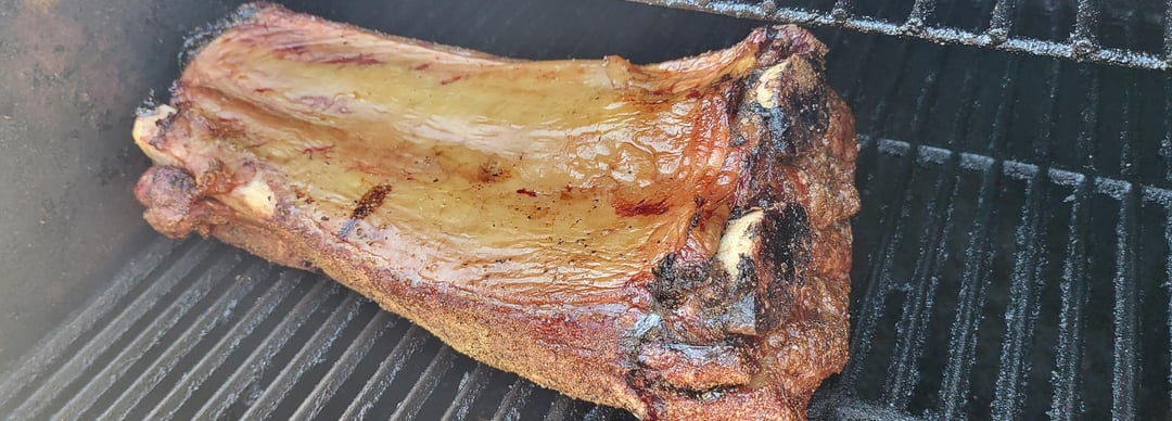 Brontosaurus Ribs - Dining and Cooking