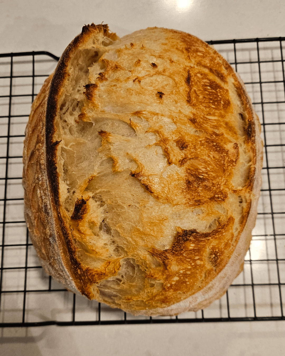How to best store your bread? - Dining and Cooking
