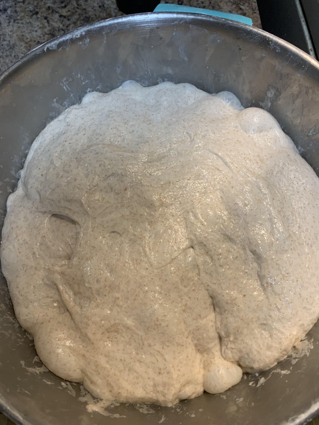 Was wondering if my starter, neglected and unfed in the fridge for a ...