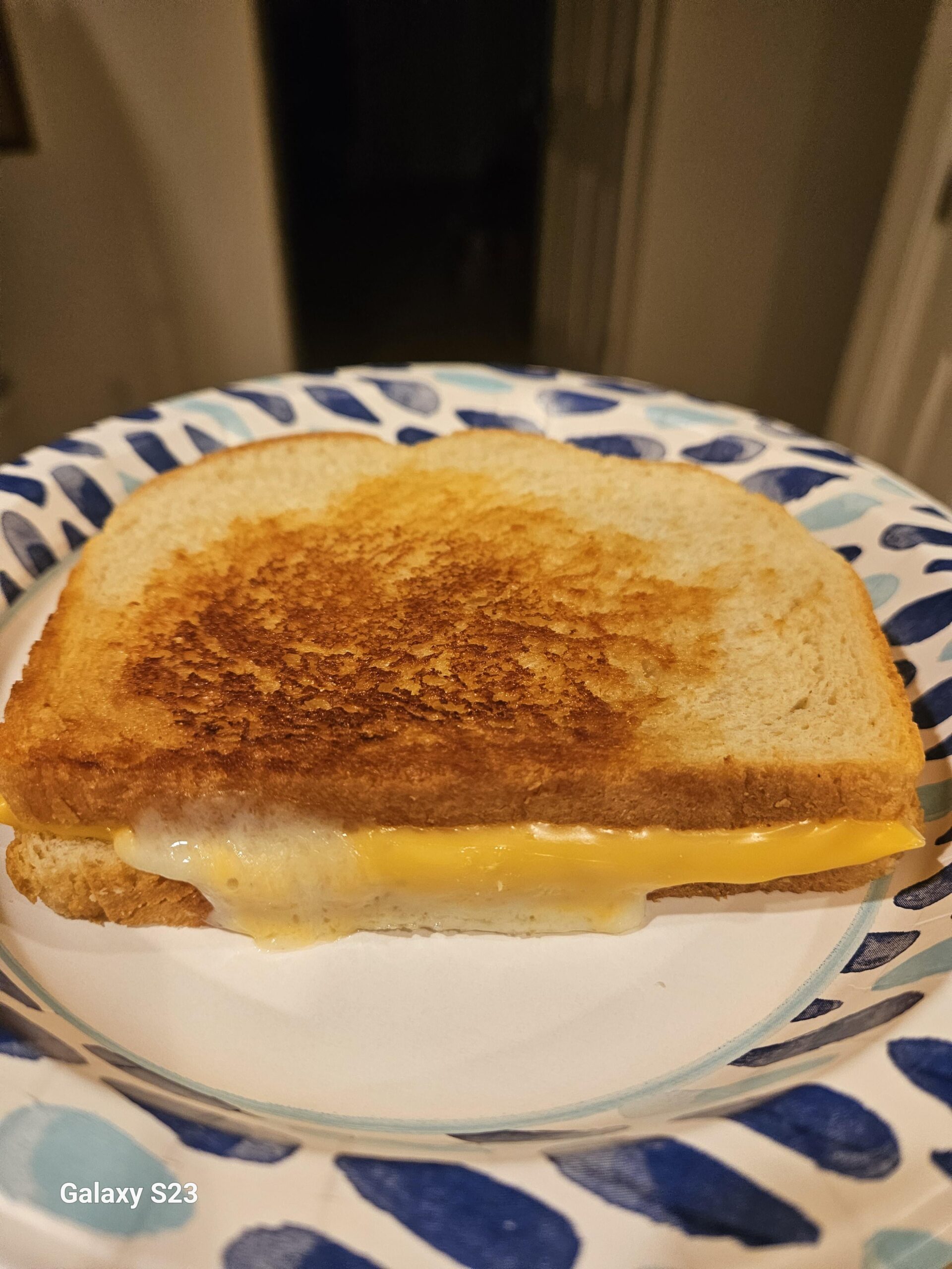 First Grilled Cheese in a While - Dining and Cooking
