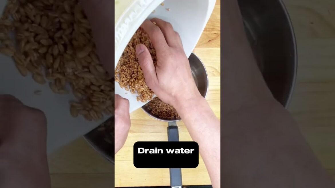 How to Cook Spelt Grains - Dining and Cooking