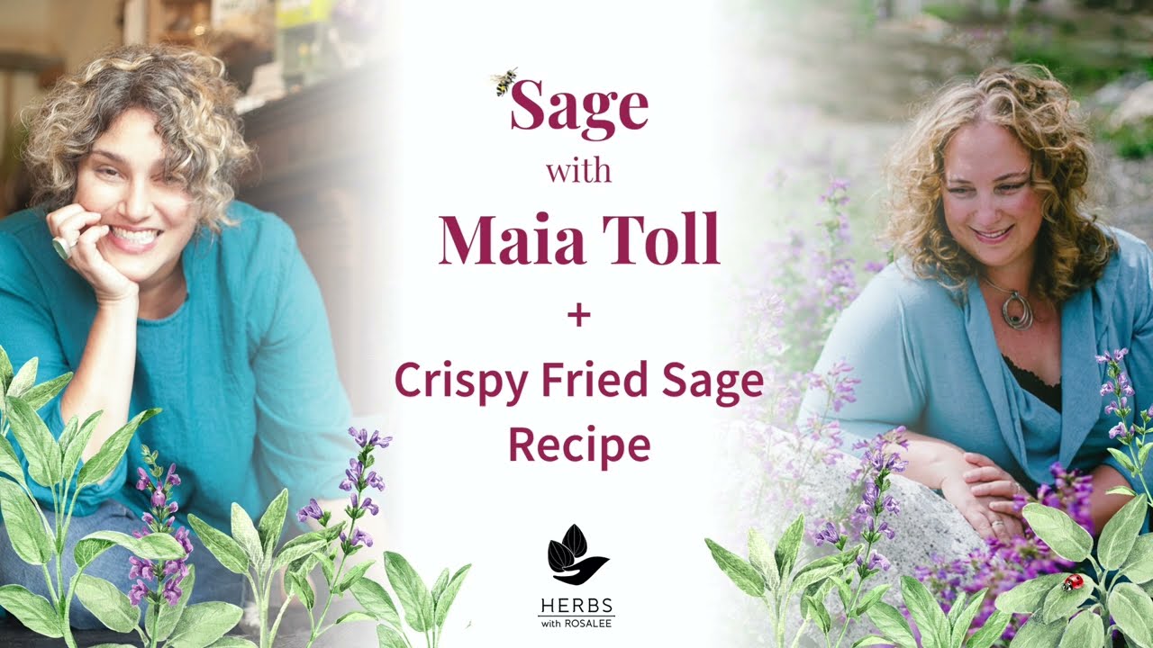 Sage with Maia Toll + Crispy Fried Sage Recipe - Dining and Cooking