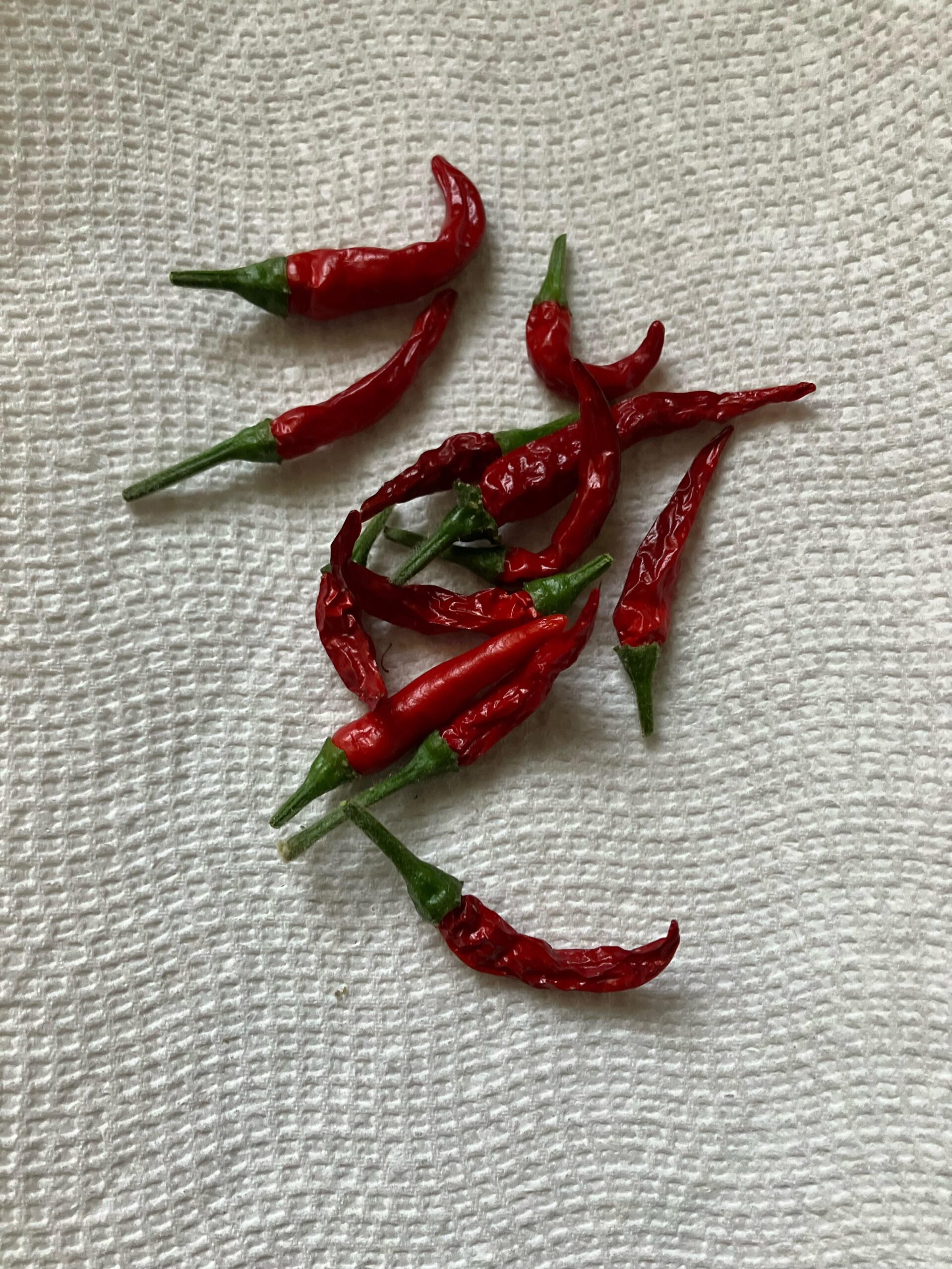 Black cobra peppers - Dining and Cooking