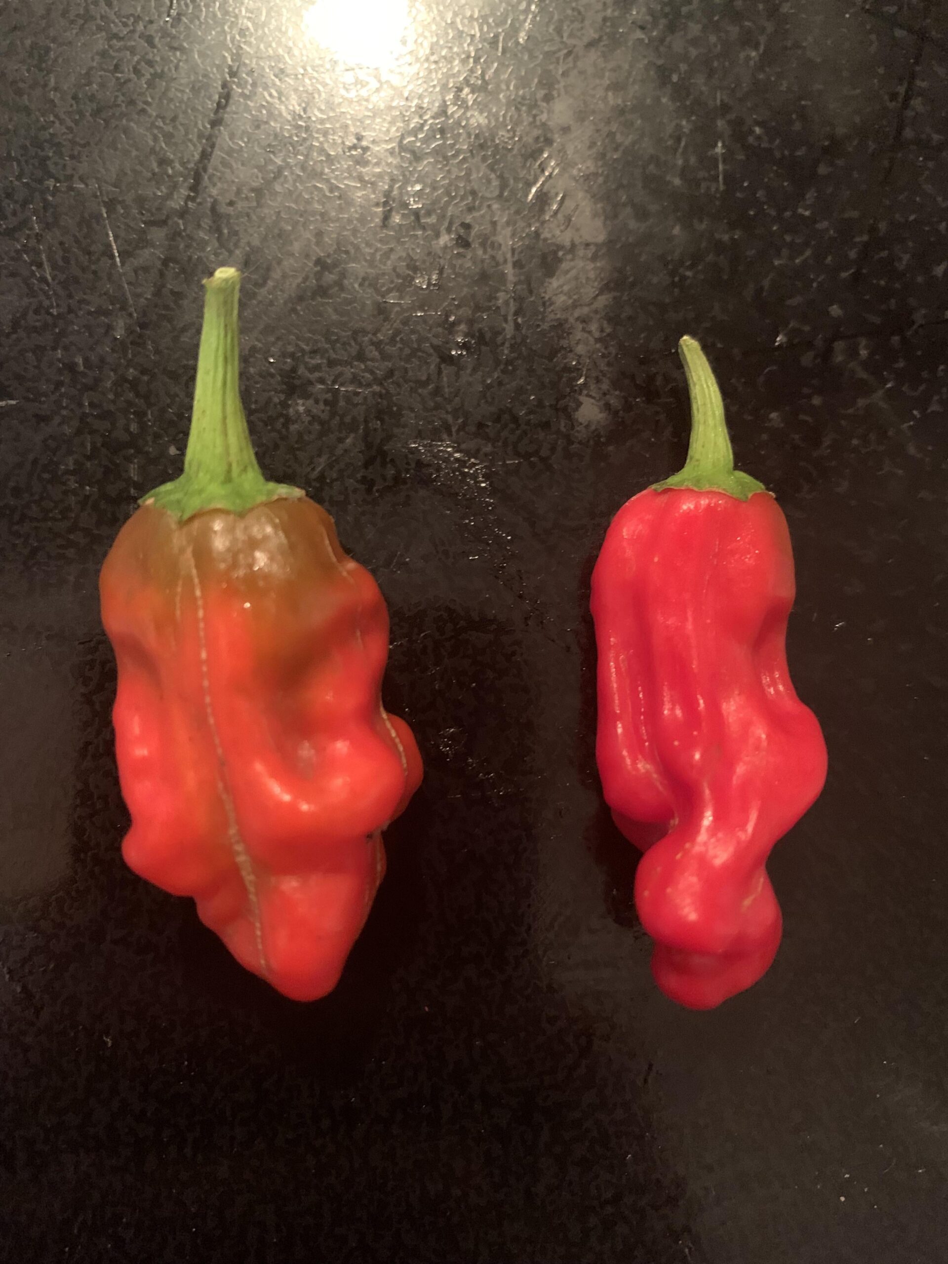 Any idea what these peppers might be - Dining and Cooking
