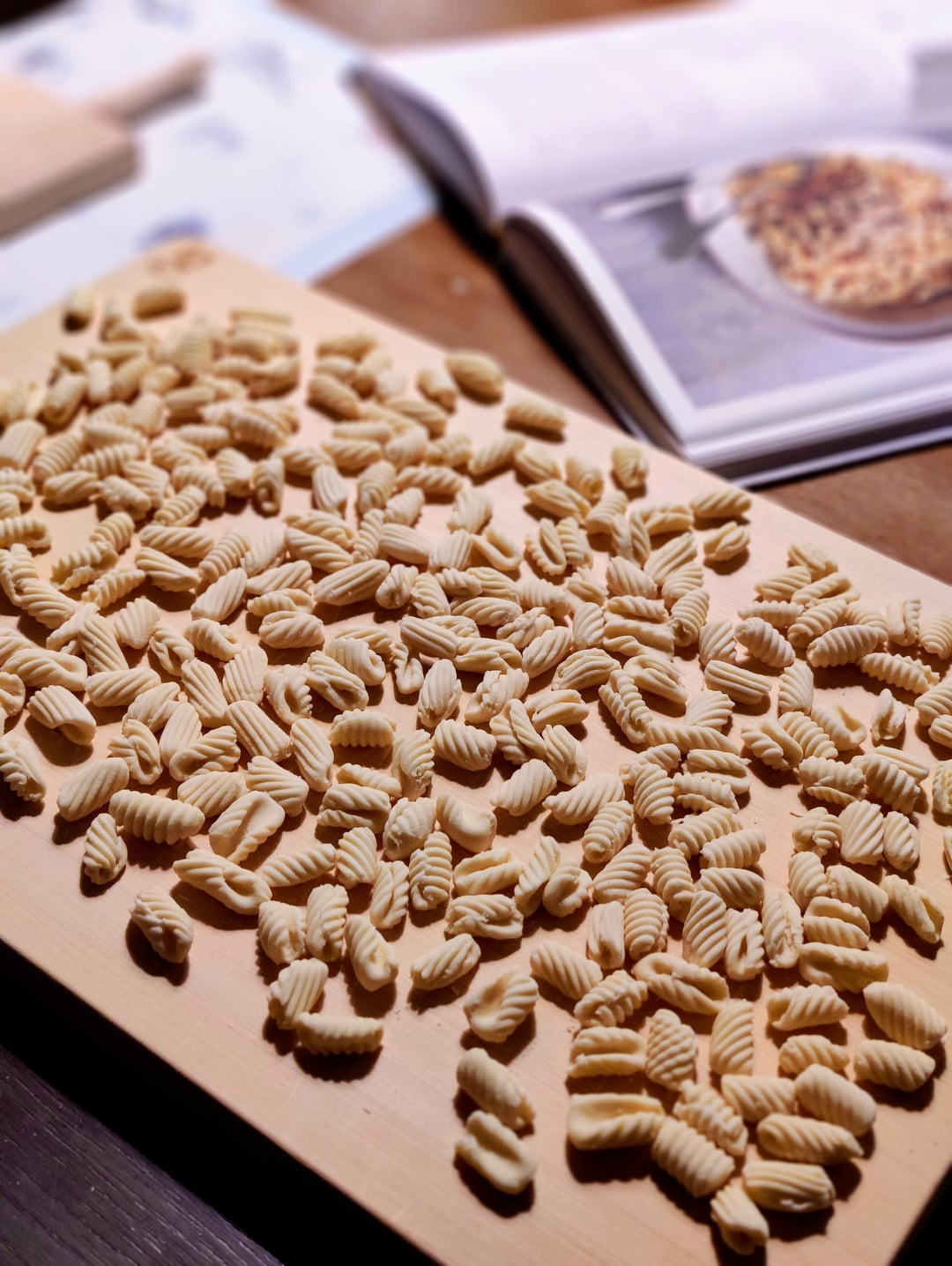 For tonight - Fennel & Sausage Ragu with homemade malloreddus Sardinian ...