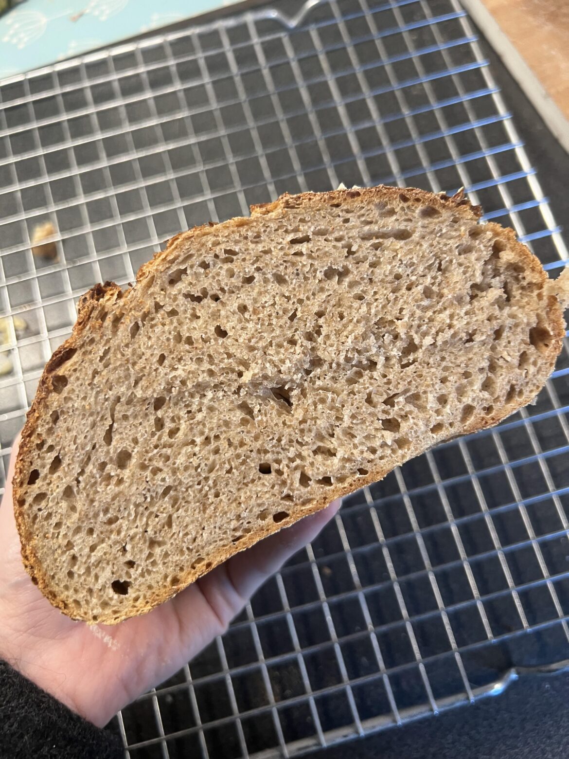 How does my whole grain bread look? - Dining and Cooking