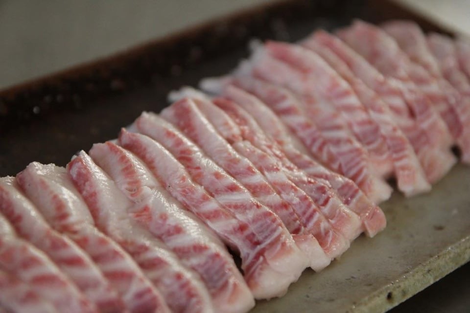 Would you eat a shark sashimi and nigri? - Dining and Cooking