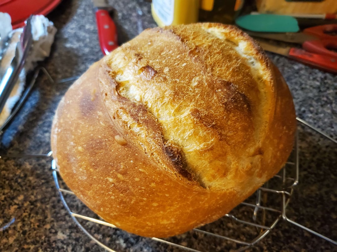 Made artisan bread in dutch oven. burnt the bottom. best ways to ...