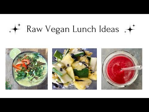 Raw Vegan Lunch Ideas - Dining and Cooking