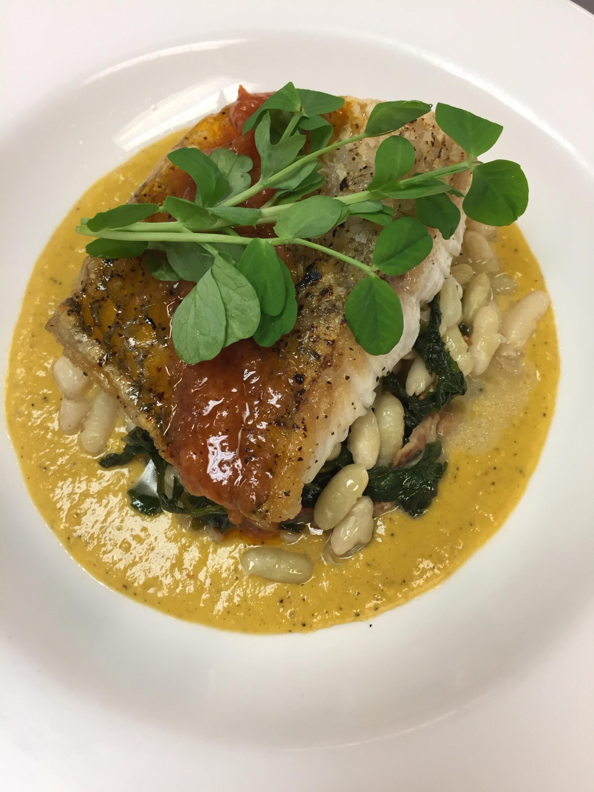 Seared Snapper - Dining and Cooking