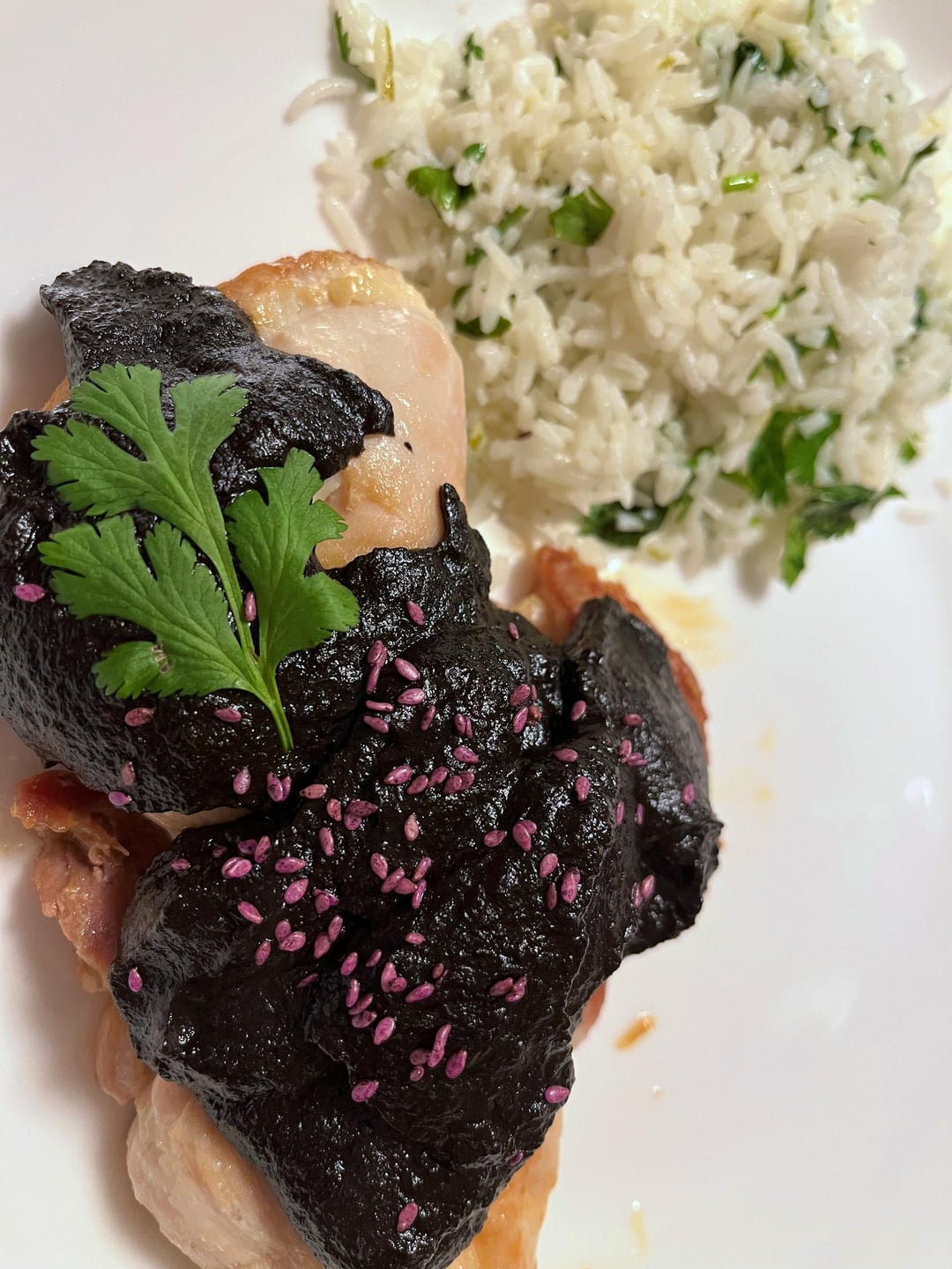 pollo asado con mole negro-tonight, last month, and last summer ...