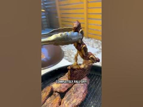 How to Grill TABLITAS 🍖🔥and cook them SUPER TENDER perfection 🤤 ...