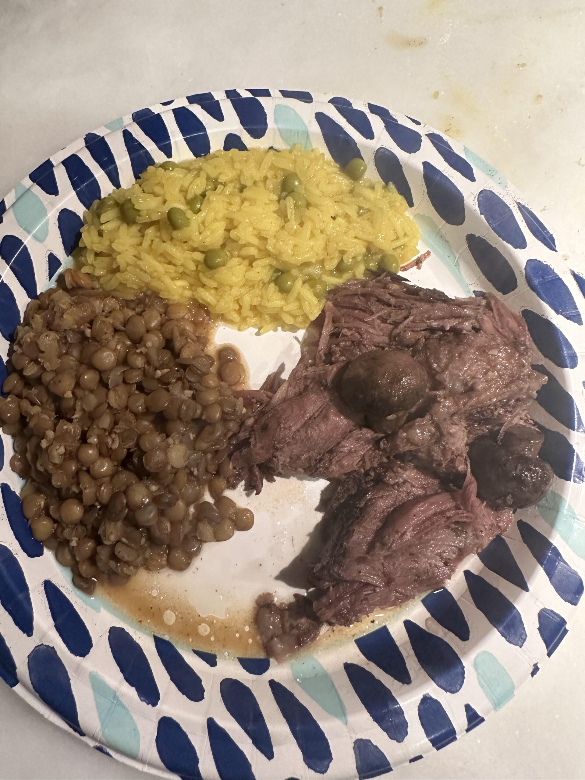 7 Spice + Lamb cooked in Instant Pot for 90min with added broth ...