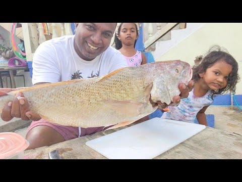 Sunday Baked Fish and Roasted Vegetables - Dining and Cooking
