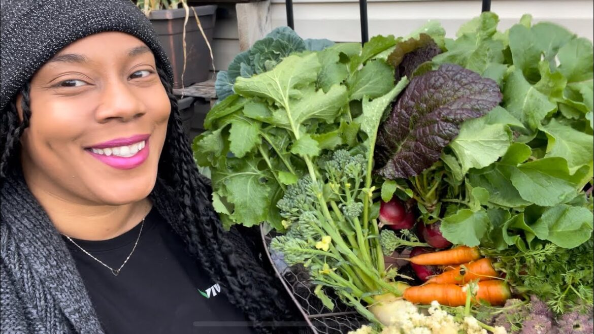 Backyard Vegetable Garden Spring 2024 - Dining and Cooking