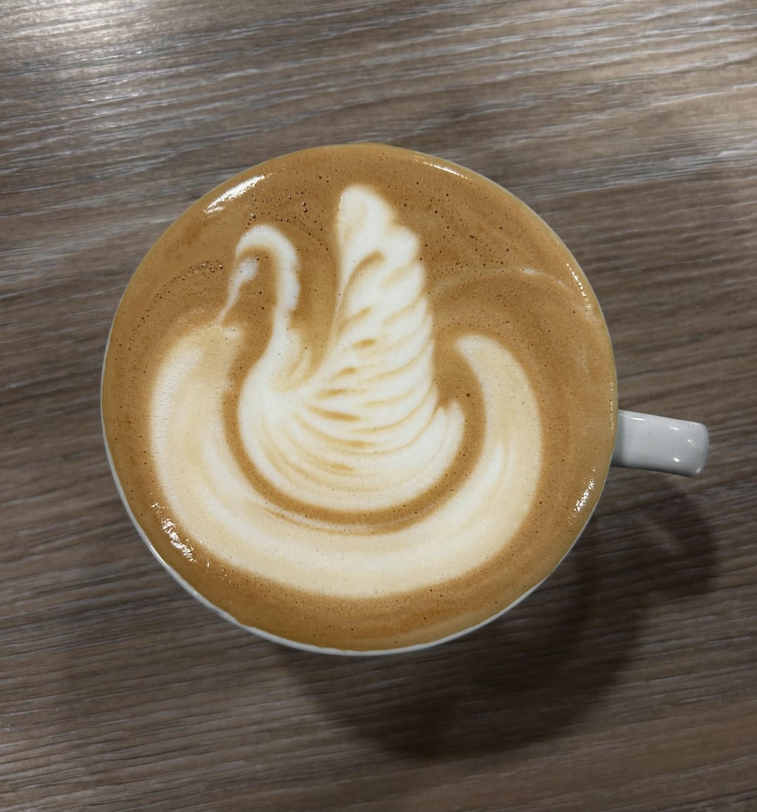 My first two attempts at a swan ! - Dining and Cooking