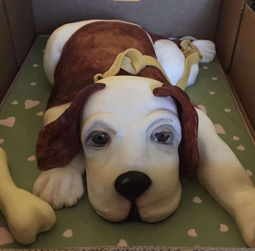 Dog cake - Dining and Cooking