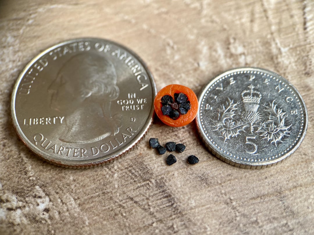 Small seeds - Dining and Cooking