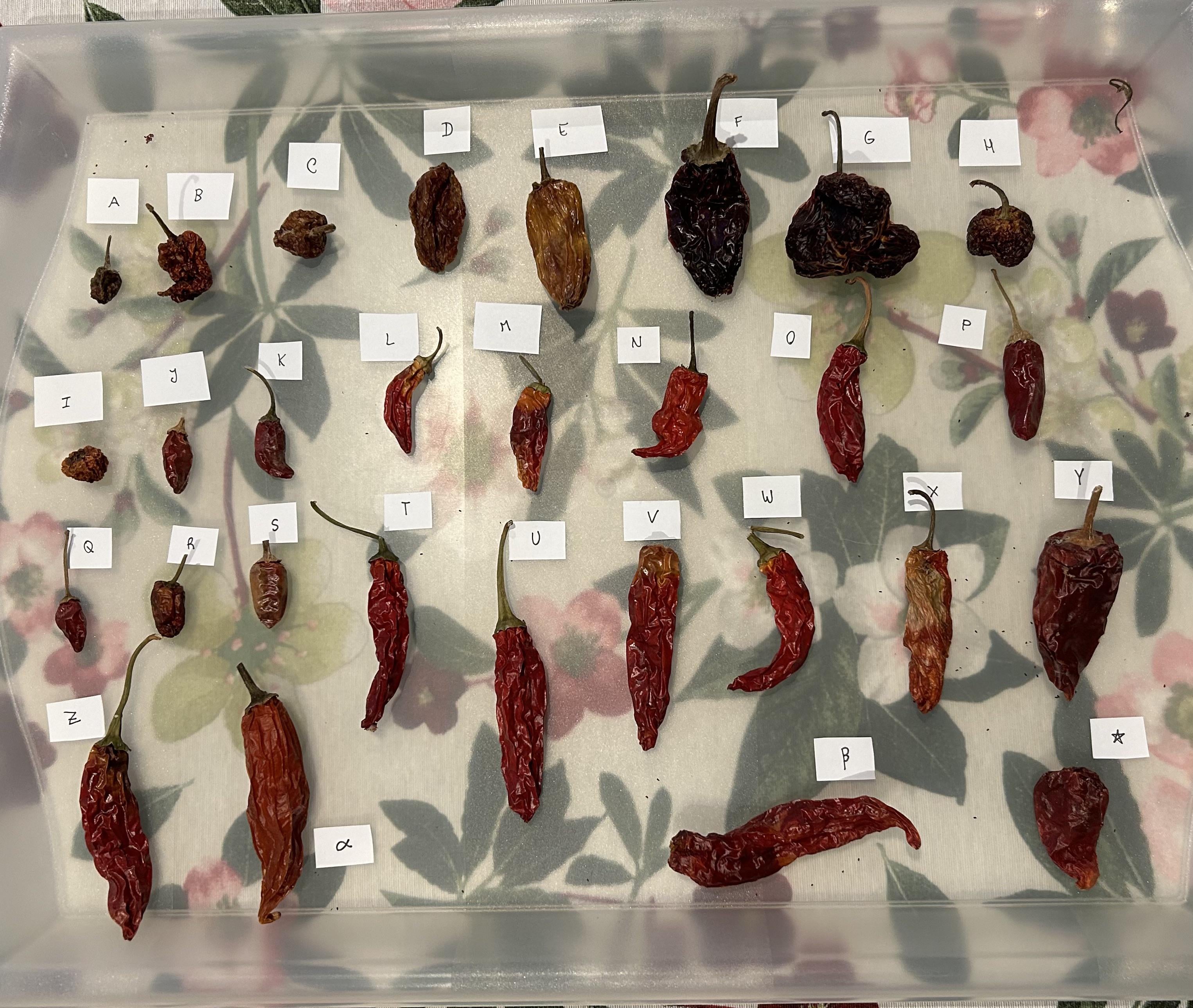 Help identifying peppers - Dining and Cooking