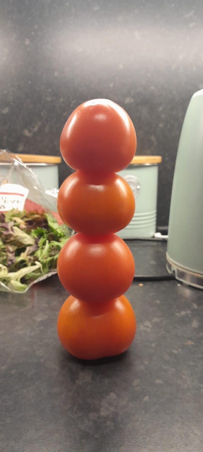 I Balanced 4 Tomatoes on top of each over! - Dining and Cooking