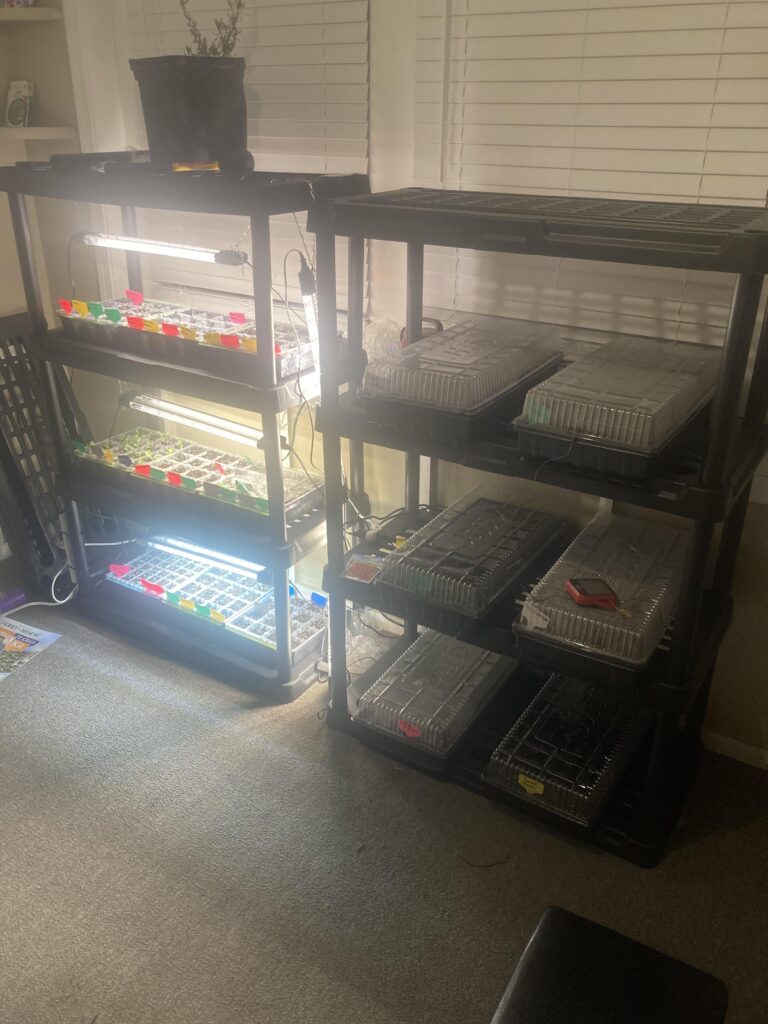 Seed Room using massive electric??? - Dining and Cooking