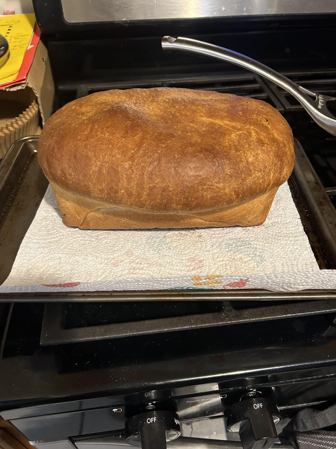 Bread update from saddest bread - Dining and Cooking